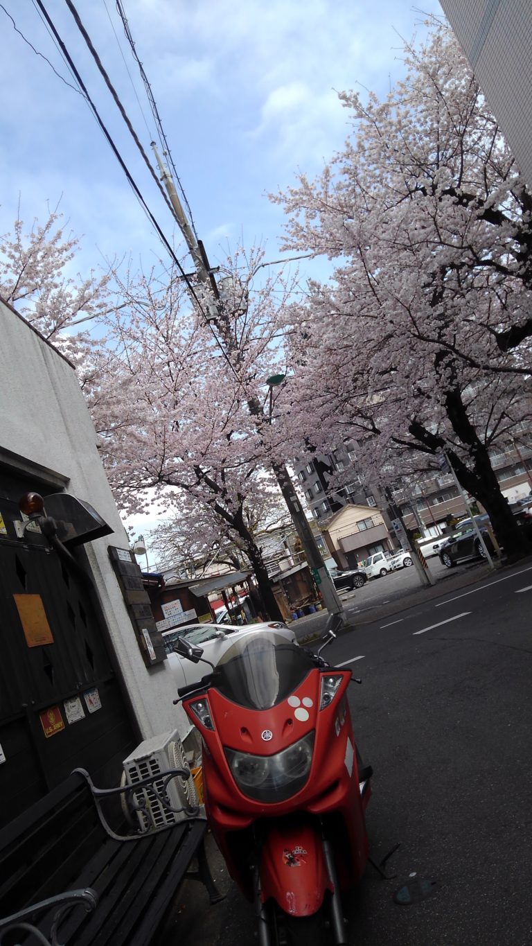 Kiss dB | dB-company